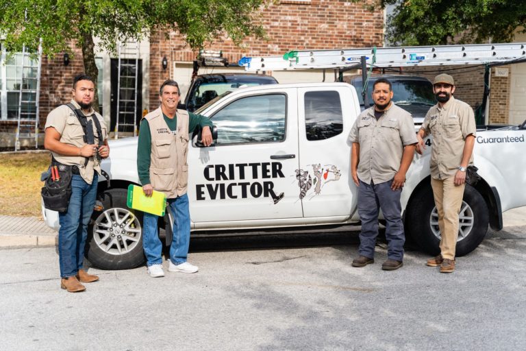 Critter Evictor | Texas Critter Removal Service